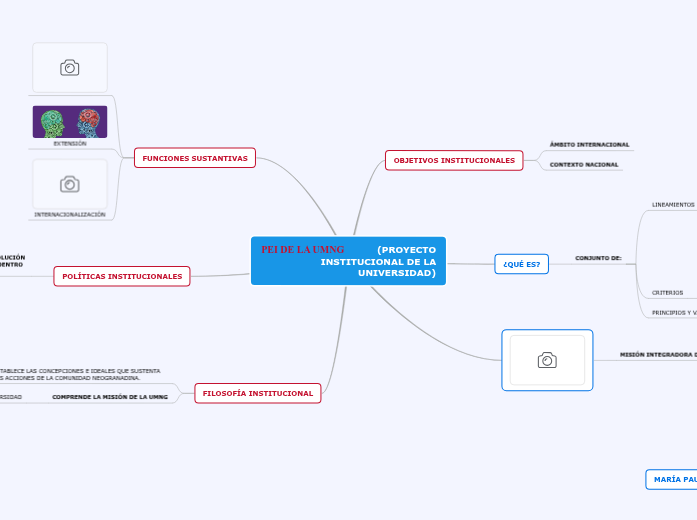 PEI DE LA UMNG - Mind Map